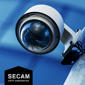 SEO optimizacija sajta za Google, Usluge seo optimizacije